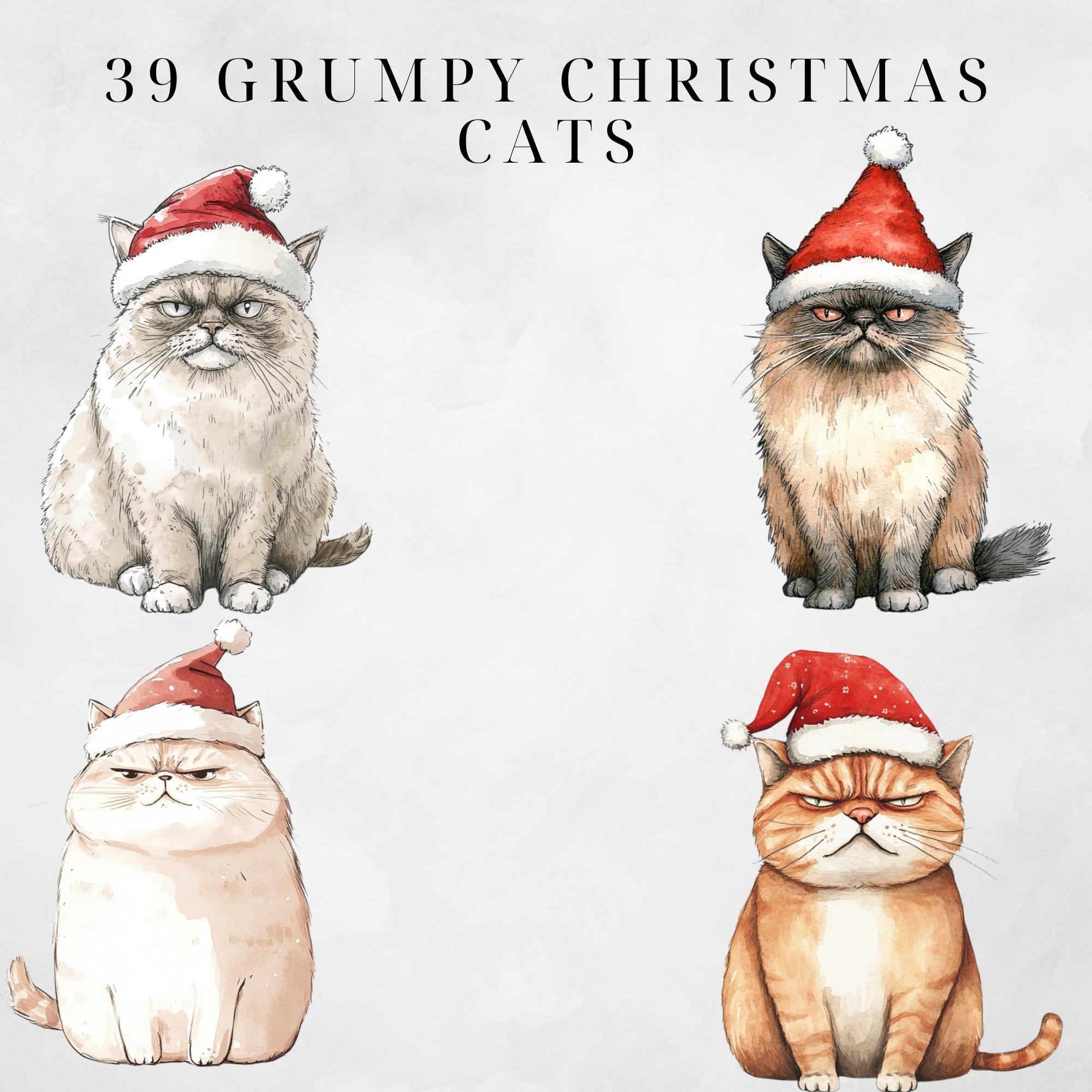 Grumpy Christmas Cat Clipart Funny Cat Clipart Holiday Cat Png Funny ...