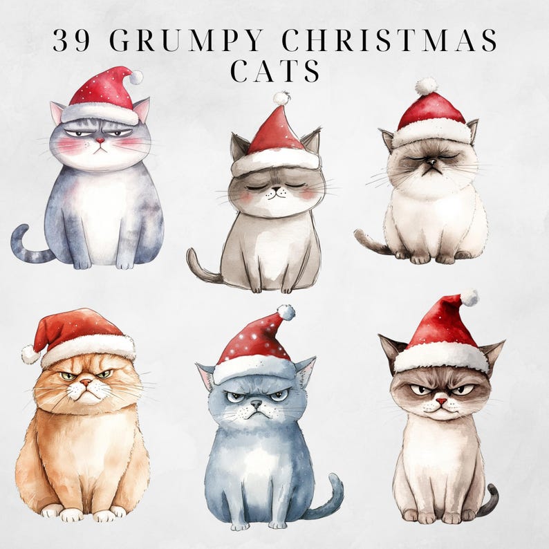 Grumpy Christmas Cat Clipart Funny Cat Clipart Holiday Cat Png Funny ...