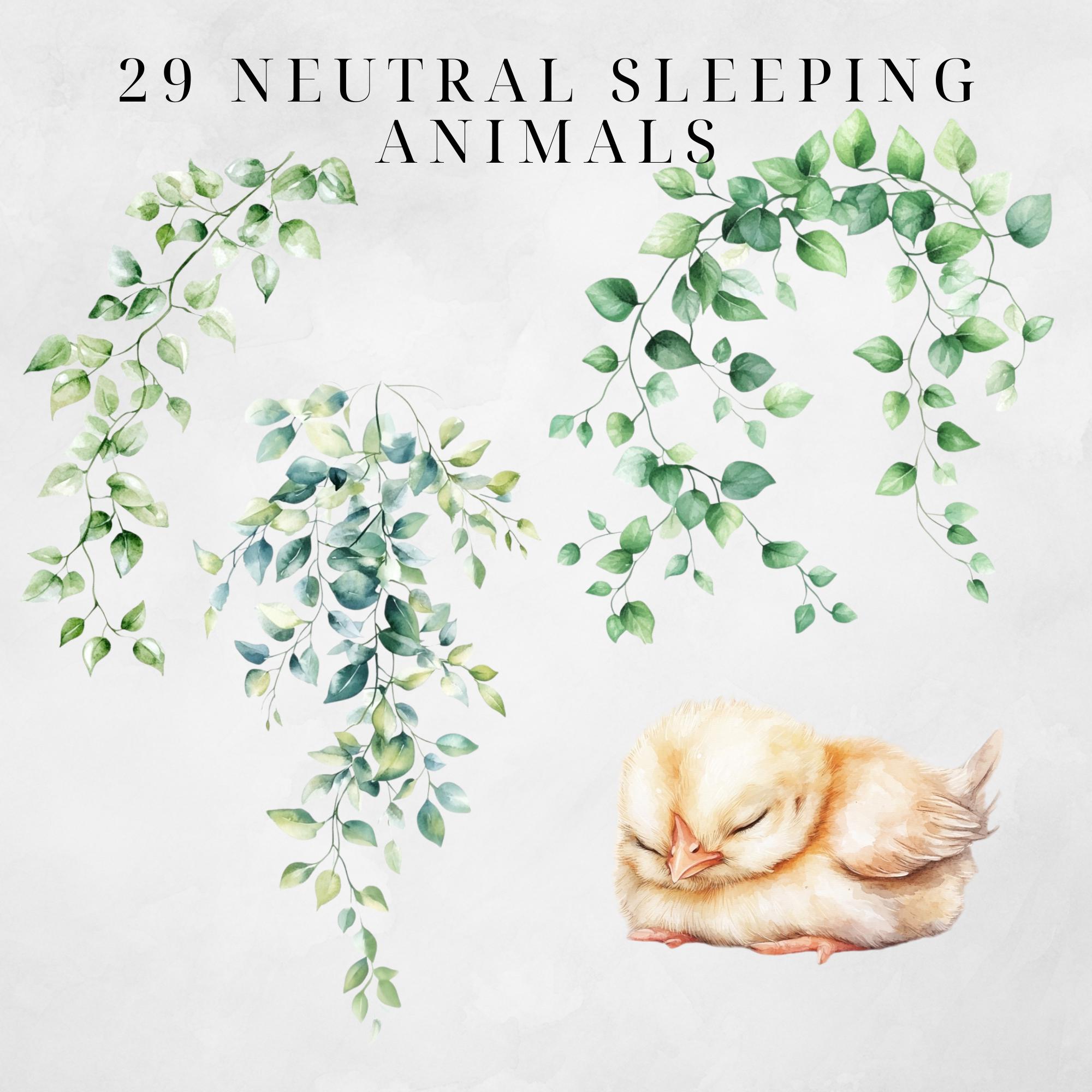 Neutral Sleeping Animals Clipart Sleeping Bunny Clipart Sleeping Baby ...