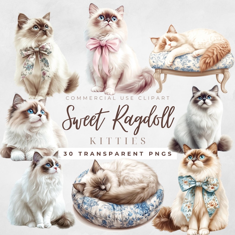 Ragdoll Cat Clipart Ragdoll Clipart Ragdoll Kitten Cute Kitten Clipart ...