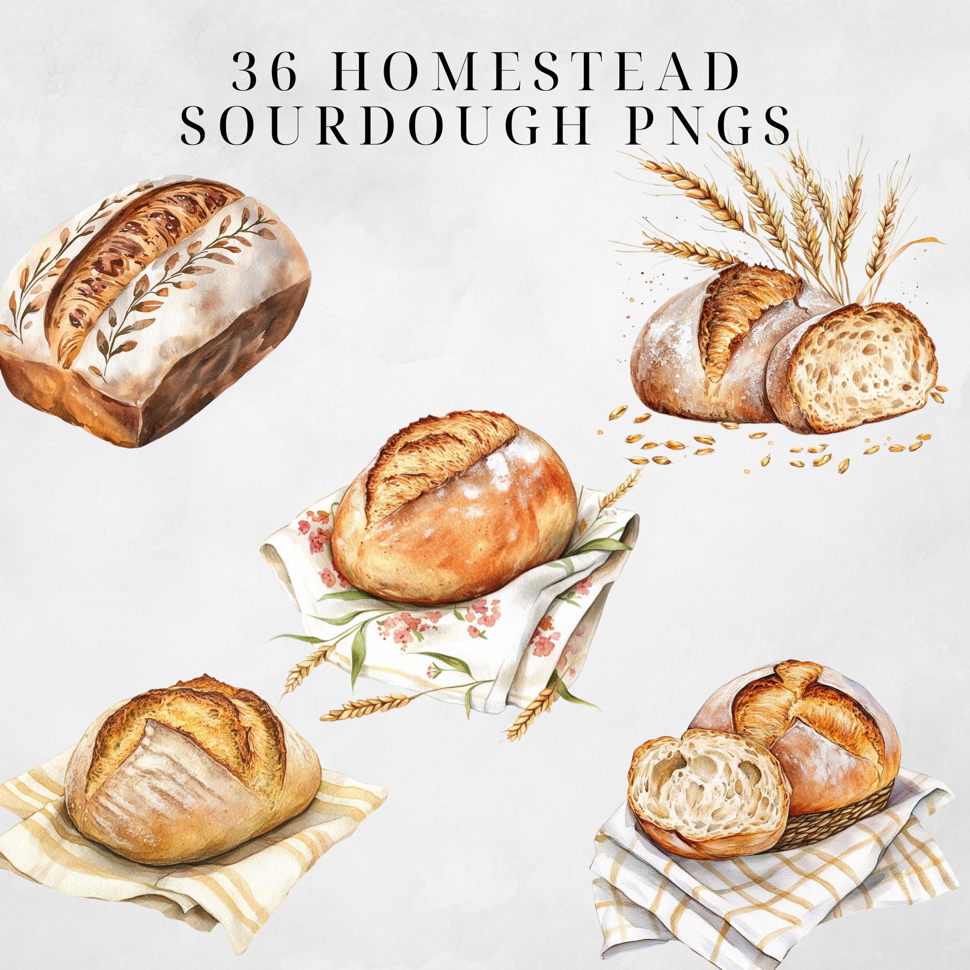 Sourdough Clipart Sourdough Bread Clipart Sourdough Starter Food ...