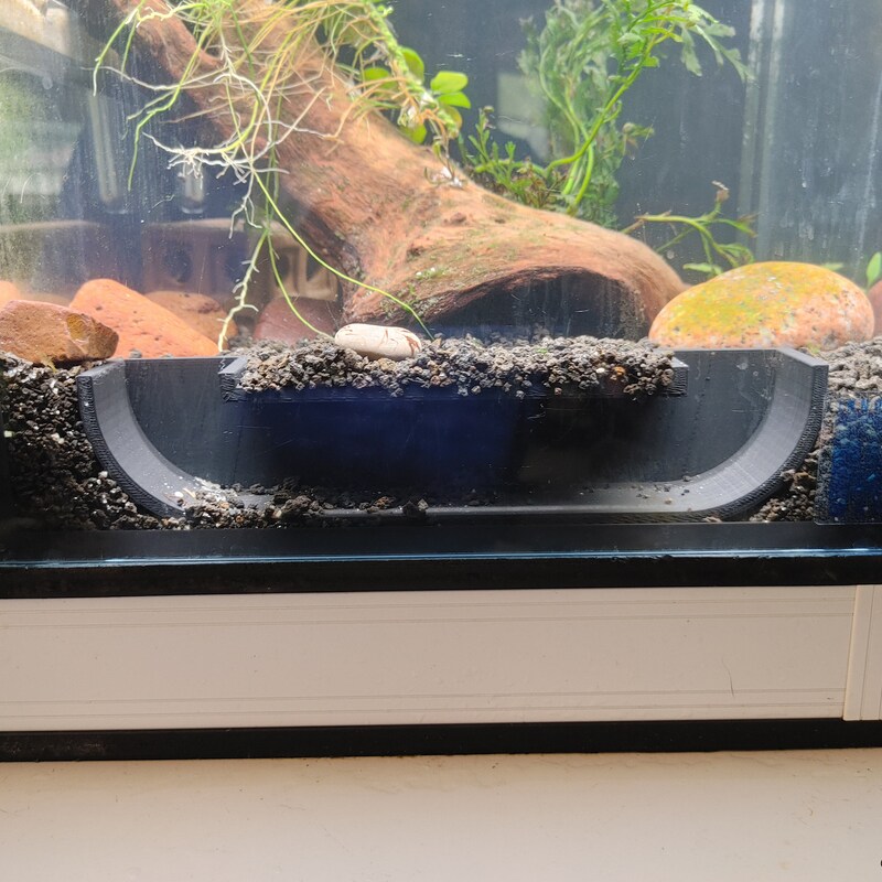 The Red Curve Fish - Etsy