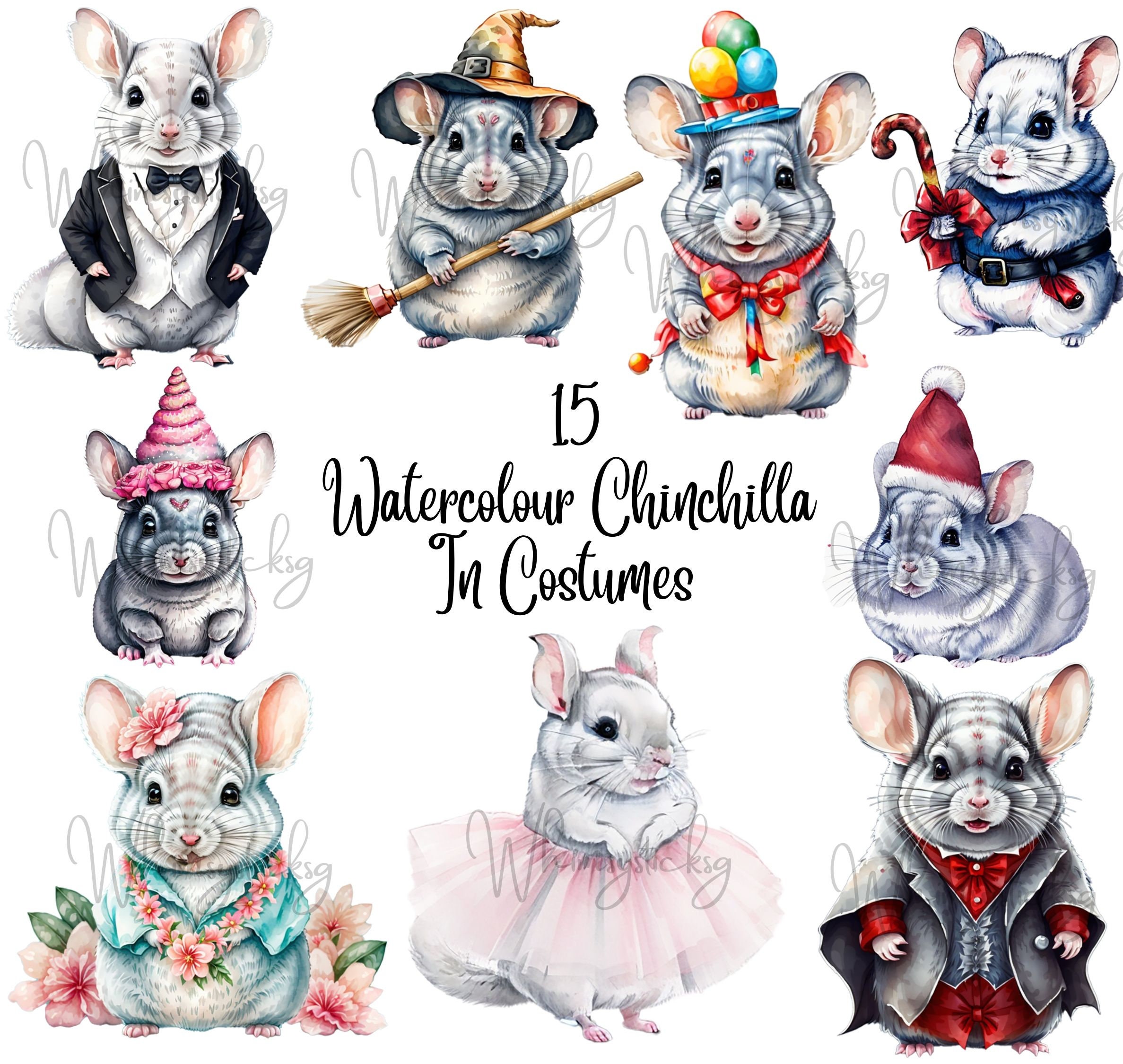 Chinchillas In Costumes