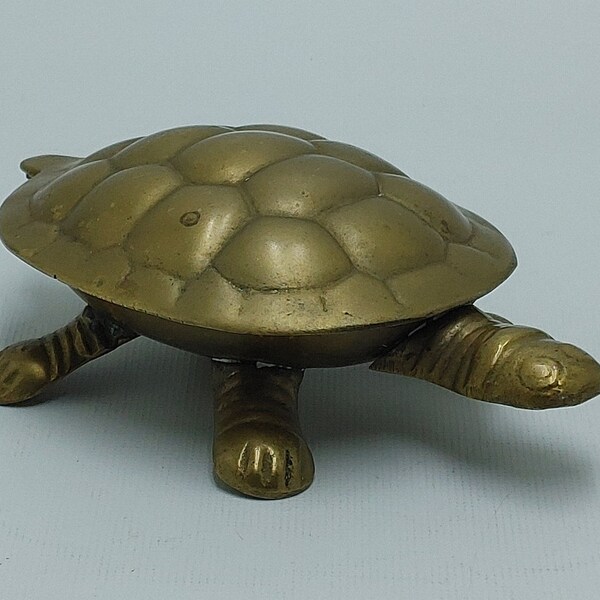 Turtle Trinket Box - Etsy