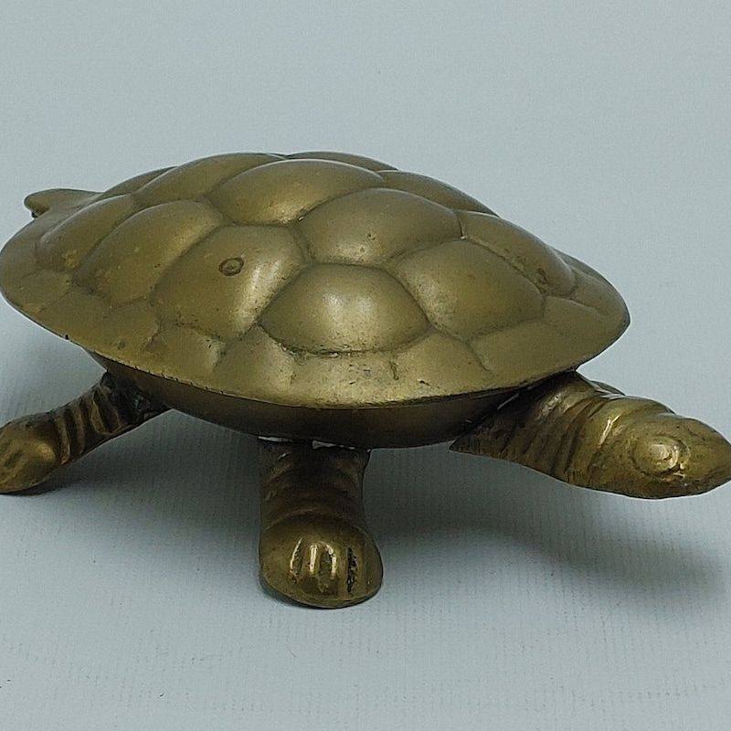 Turtle Trinkets - Etsy