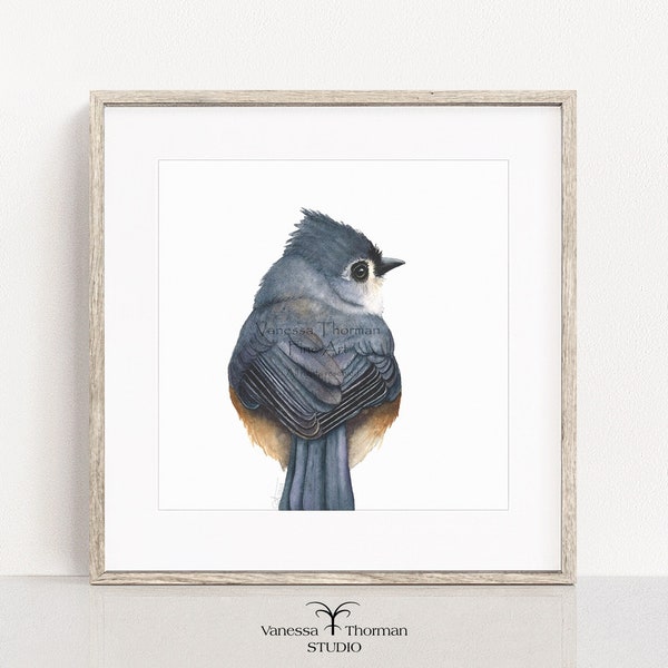 Tufted Titmouse - Etsy