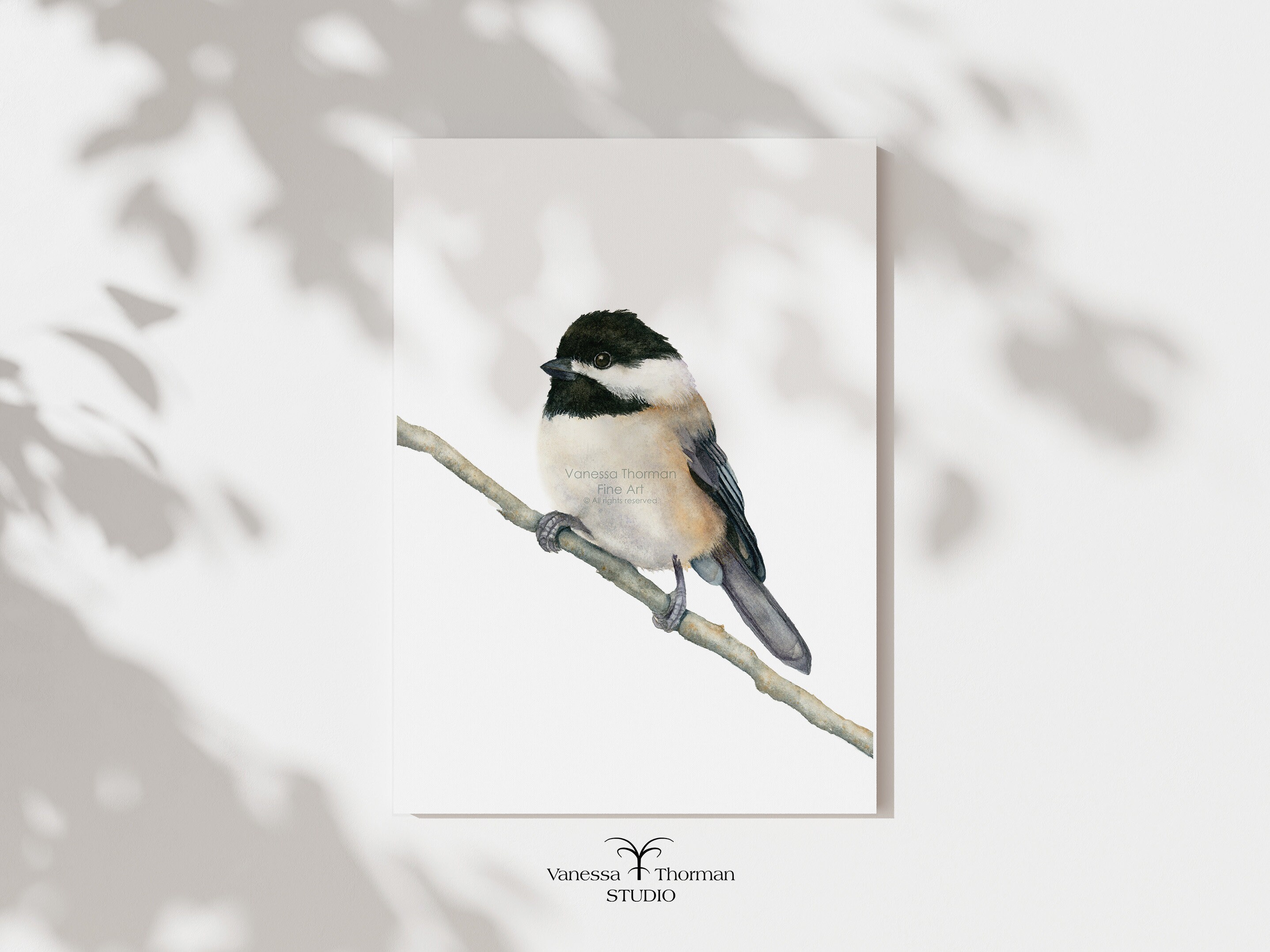Carolina Chickadee Art Print for Bird Nerds Chickadee Wall Decor ...