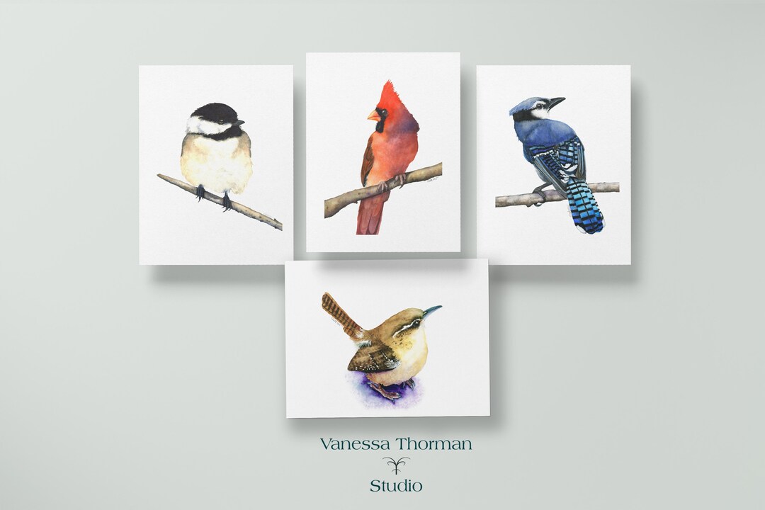 Backyard Birds Cards 1 Cardinal Cards Wren Cards - Etsy