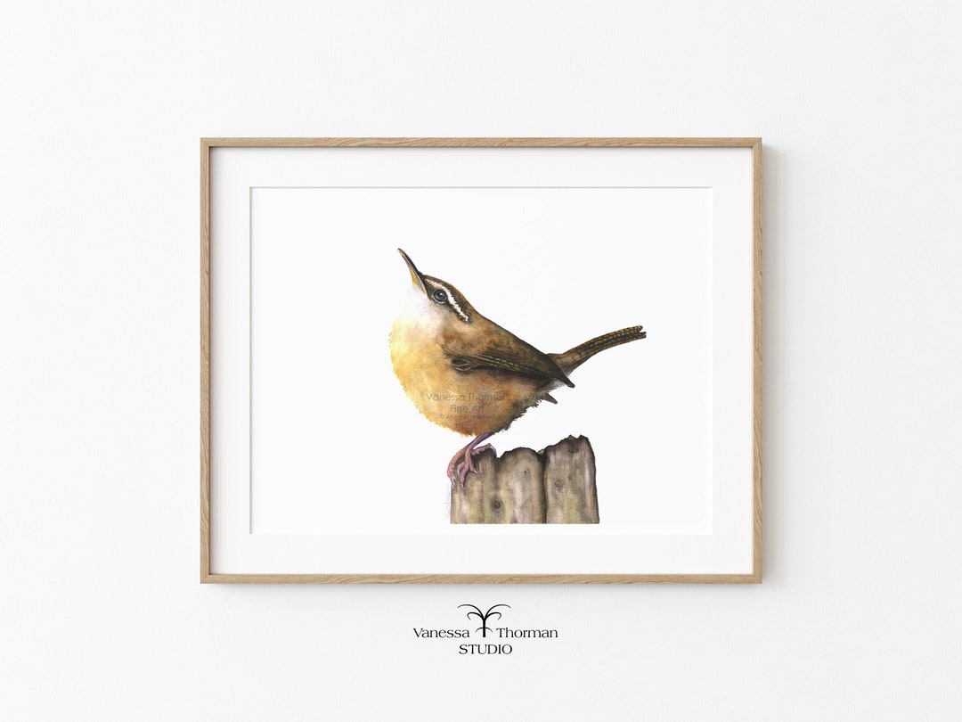 Carolina Wren Art Print for Bird Nerds Wren Art Watercolor Bird ...