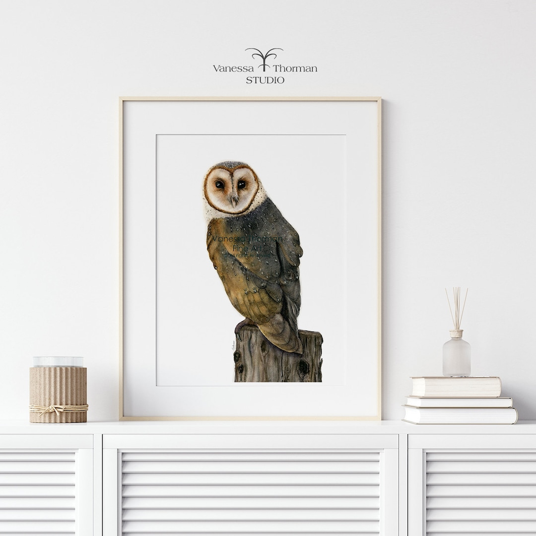 Barn Owl Art Print Birds Art Birds Print Wall Art - Etsy
