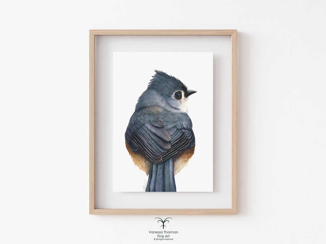Tufted Titmouse Bird Art Birds Print Watercolor Bird - Etsy
