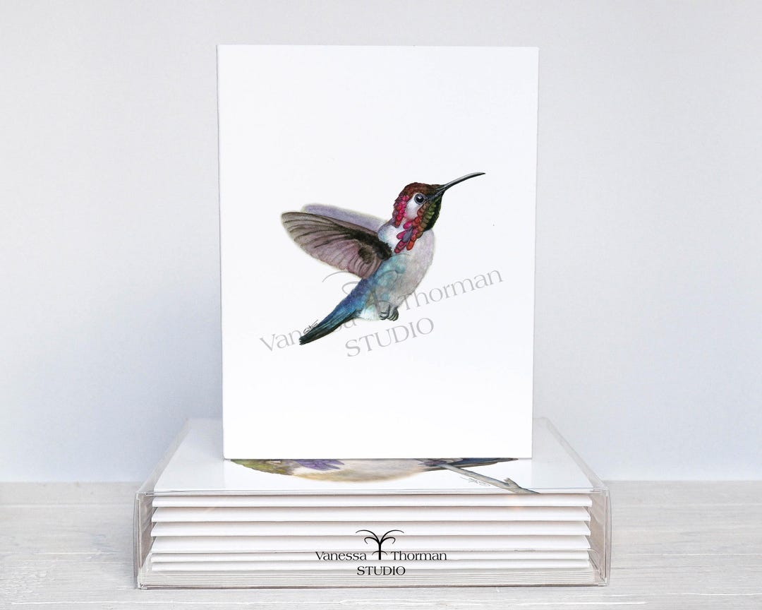 Hummingbird Note Cards Set | Pack of 8 Blank Greeting Cards With ...