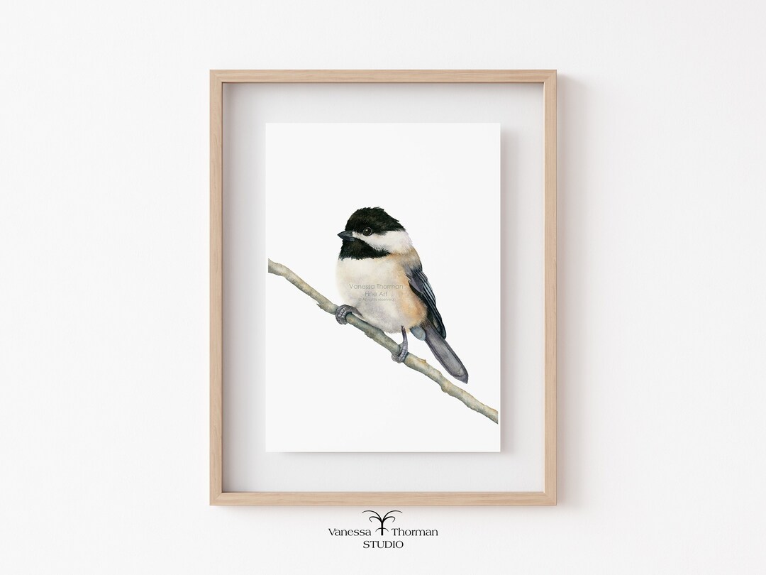 Carolina Chickadee Chickadee Wall Decor Wall Art Birds - Etsy