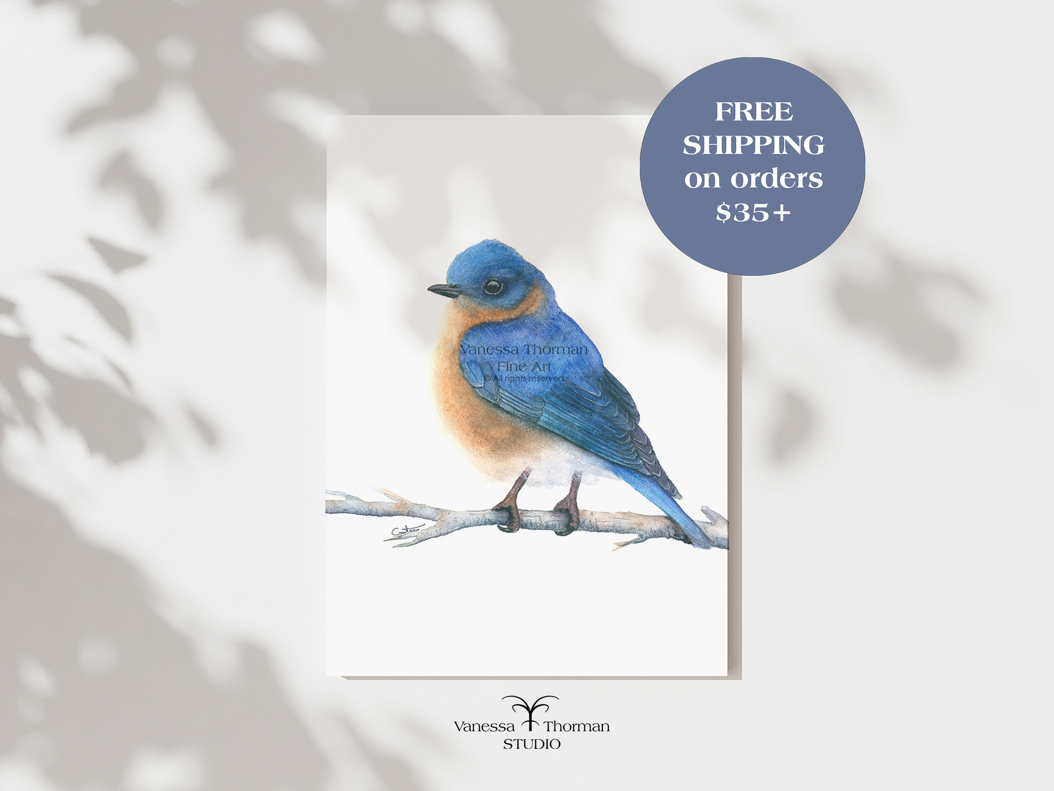 Bluebird Gift for Mom Mom Bird Nerd Bluebird Art Mother's Day Bird Art ...