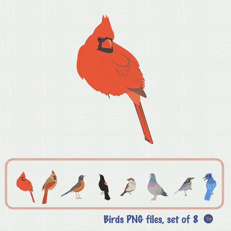Birds PNG Set of 8, Digital: Cardinal Male & Female, Robin, Sparrow ...