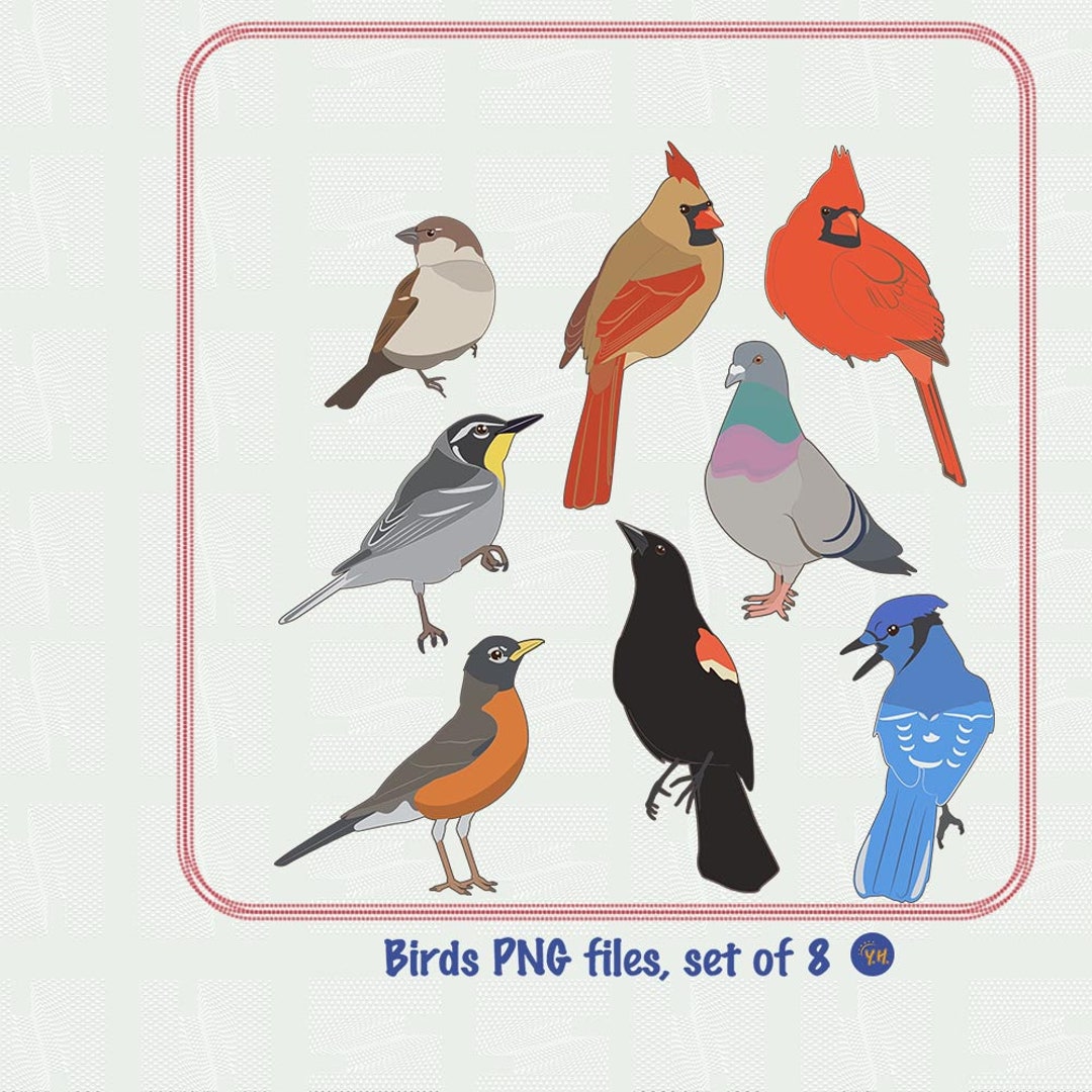 Birds PNG Set of 8, Digital: Cardinal Male & Female, Robin, Sparrow ...