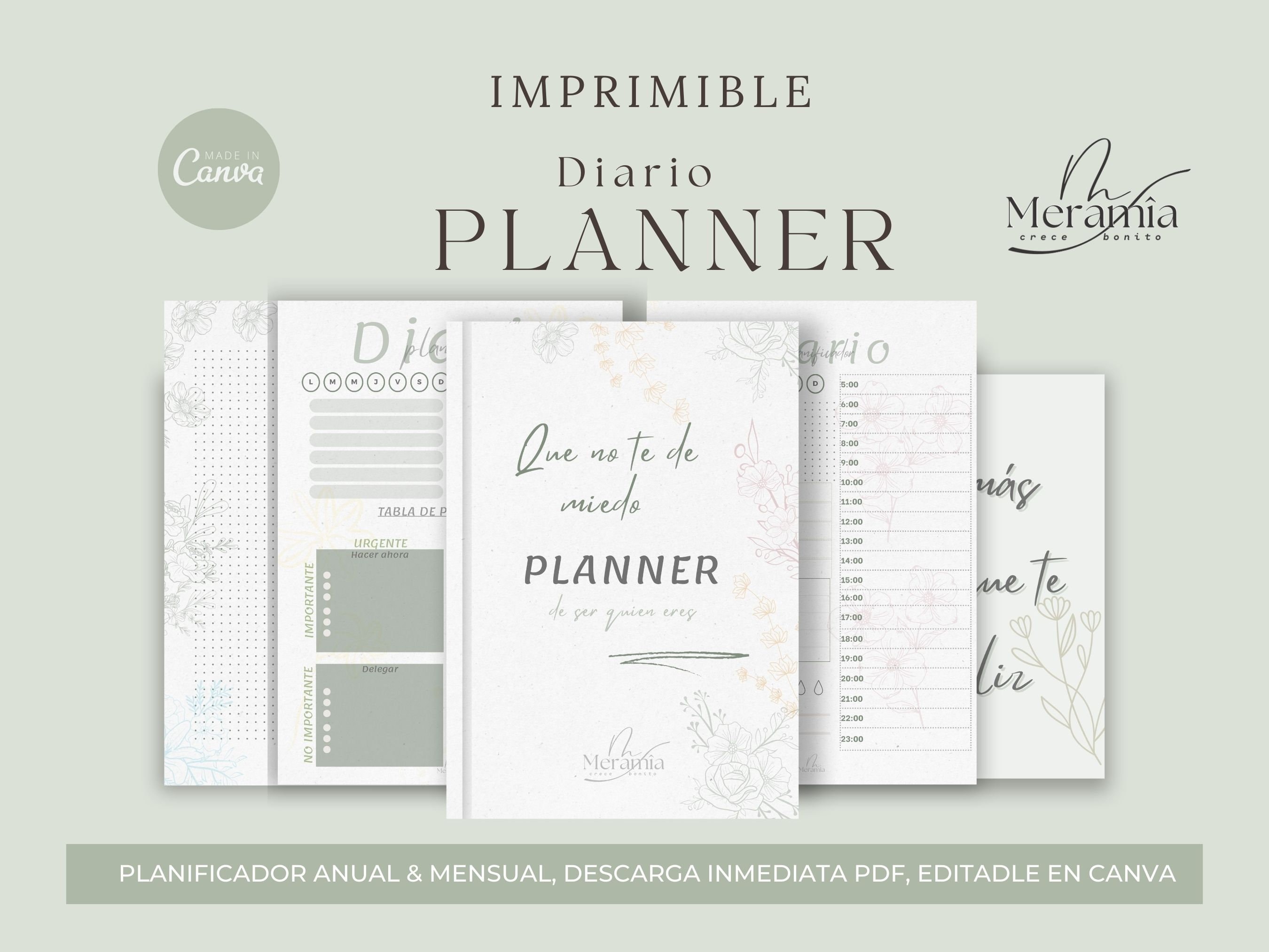 Daily Planner Pdf Editable in Canva, Planner in Spanish, Daily Planner ...