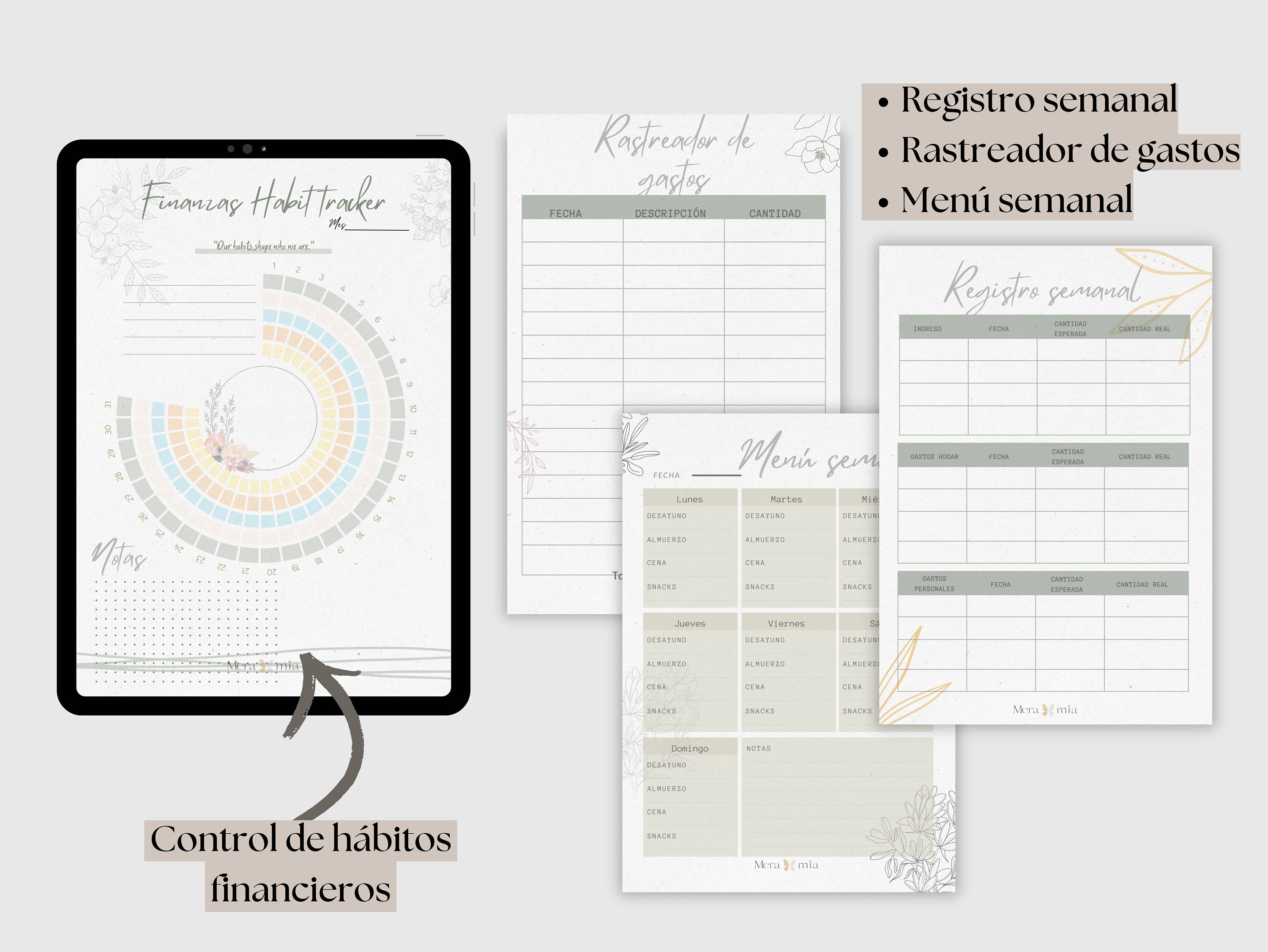 Expense and Savings Planner in Spanish, Spanish Finance Planner, Budget ...