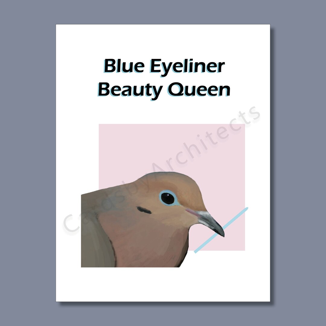 Mourning Dove Greeting Card, Funny Mourning Dove Card, Blue Eyeliner ...