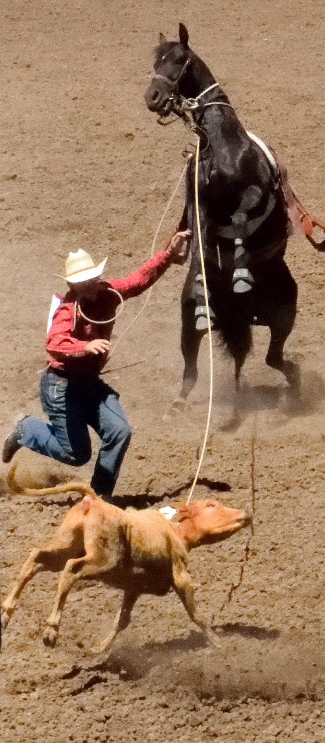 Cow Wrangling - Digital Image, Rustic Photography, Ropin' Cowboy - Etsy