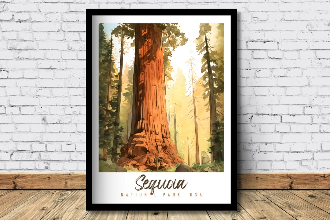 Sequoia National Park Watercolor Travel Poster Sequoia Wall Art Sequoia ...