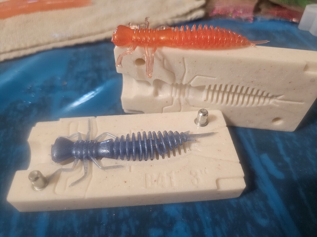 3 Water Bug Larvae - Etsy