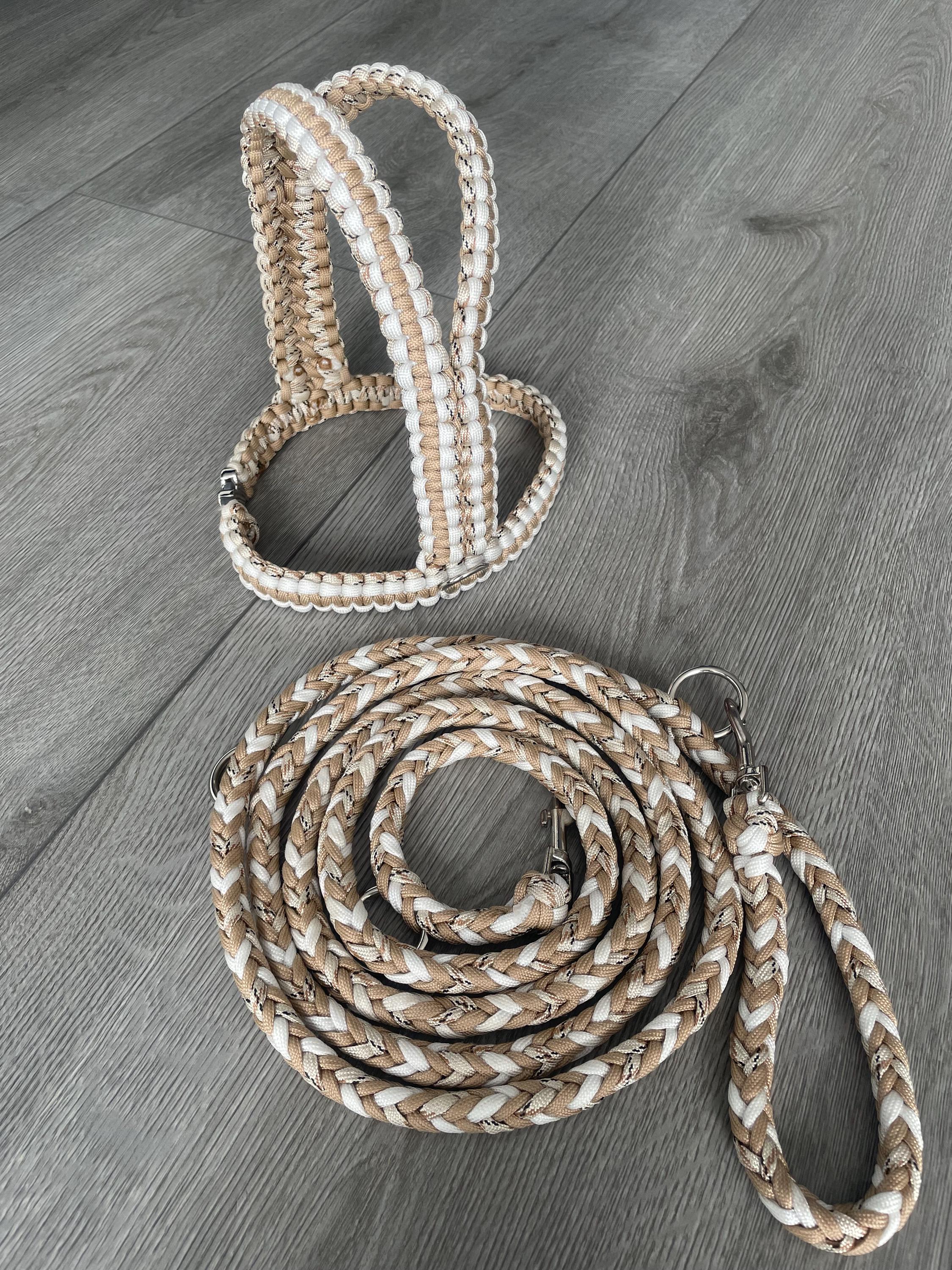 Paracord Dog Harness & Dog Leash - Etsy