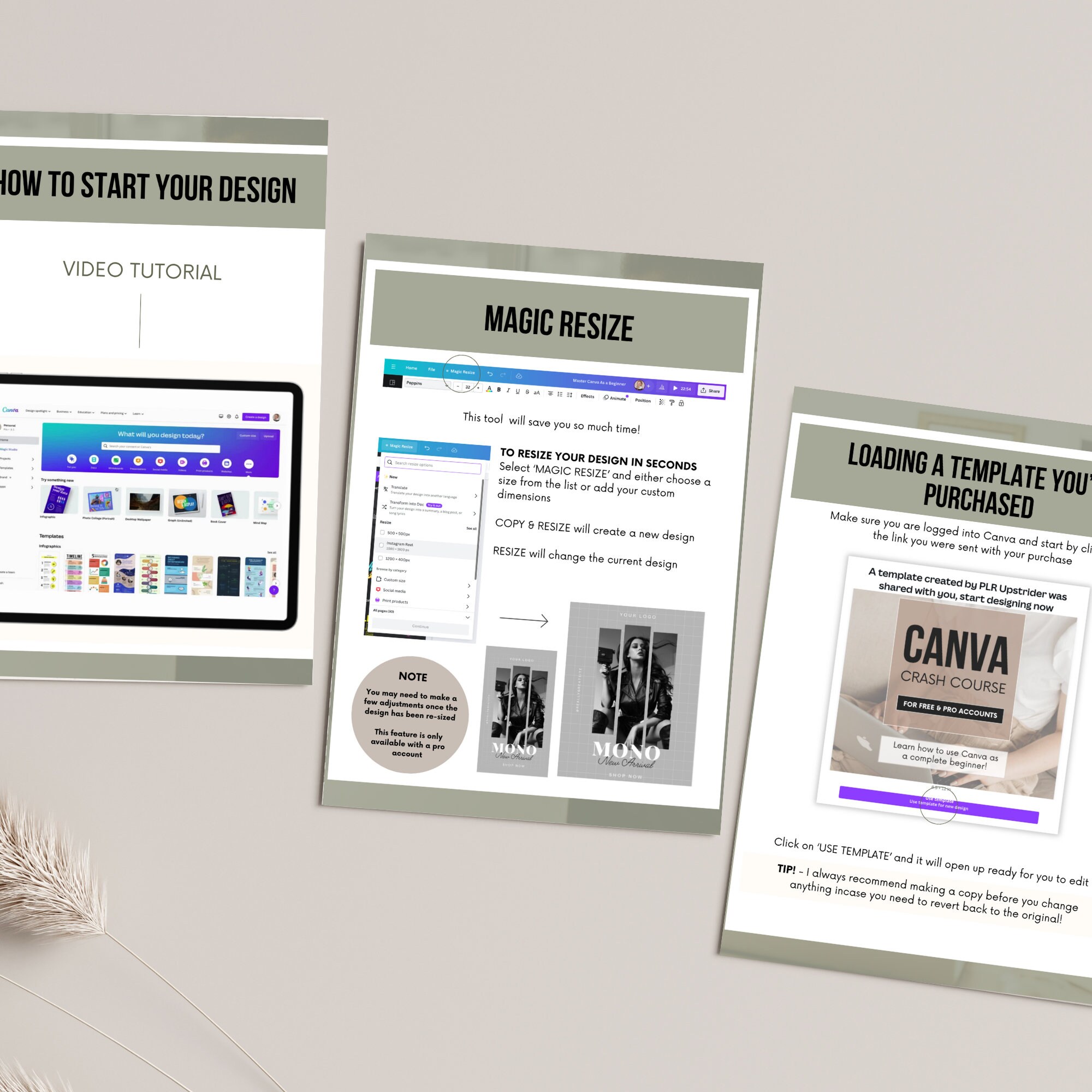 Canva Crash Course, Canva for Beginners, MRR Canva Course, PLR Canva ...