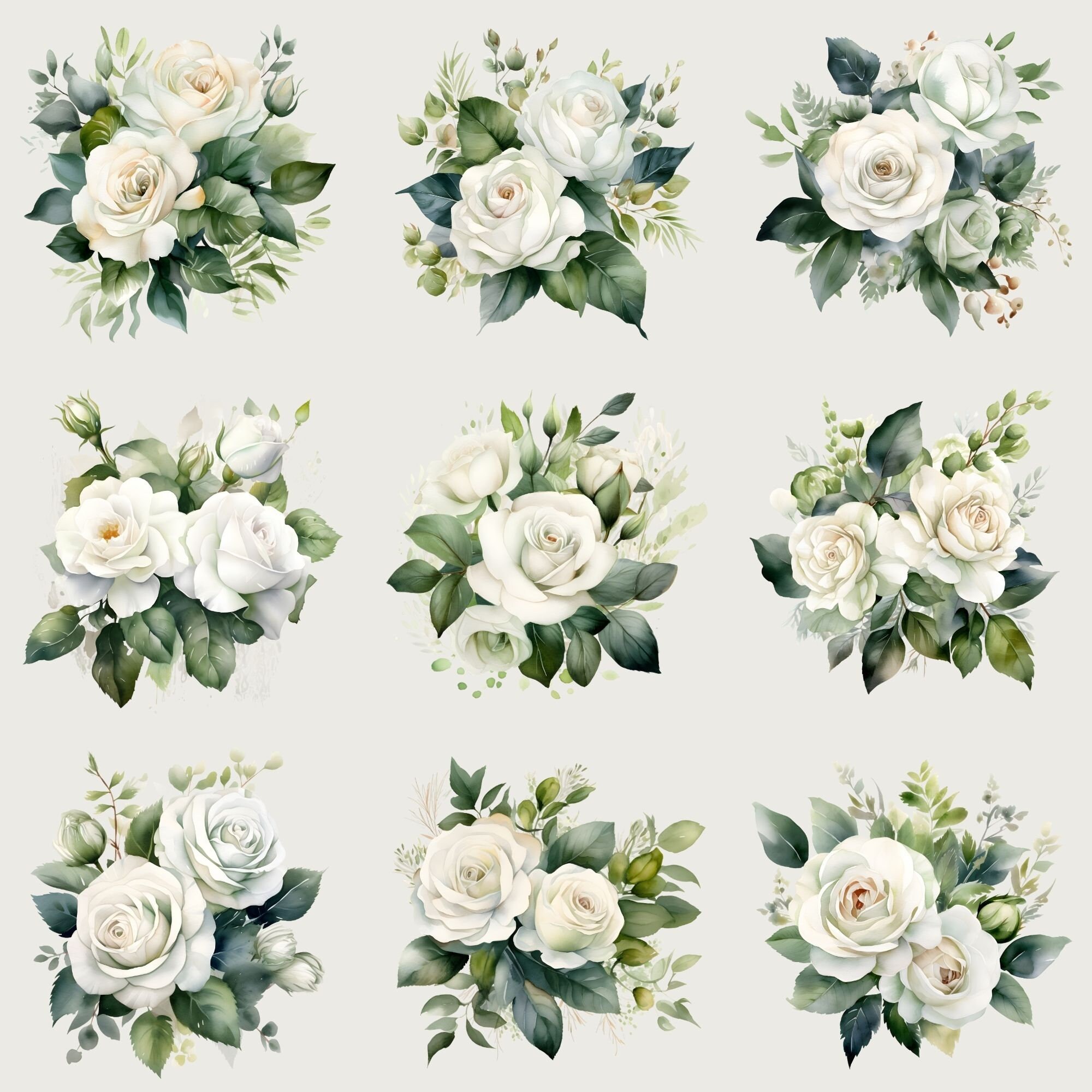 White Roses Clipart, Floral Watercolor Clipart Pack, Transparent Pngs ...