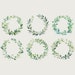 Eucalyptus Leaves Wreath Clipart, Botanical Watercolor Clipart Pack ...