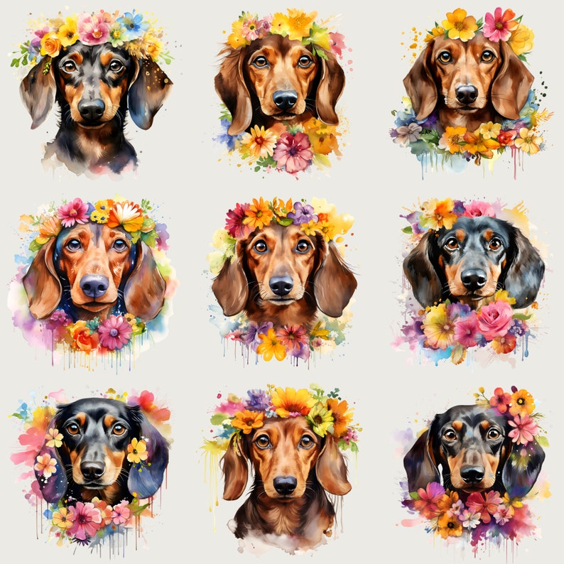 Dachshund Clipart Pack, Transparent Pngs, Commercial Use, Dog Wall Art ...