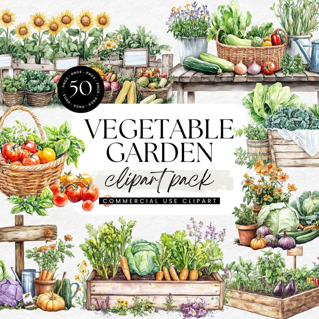 Vegetable Garden Patch Clipart Pack, Veggies PNG, Locally Grown Baby ...