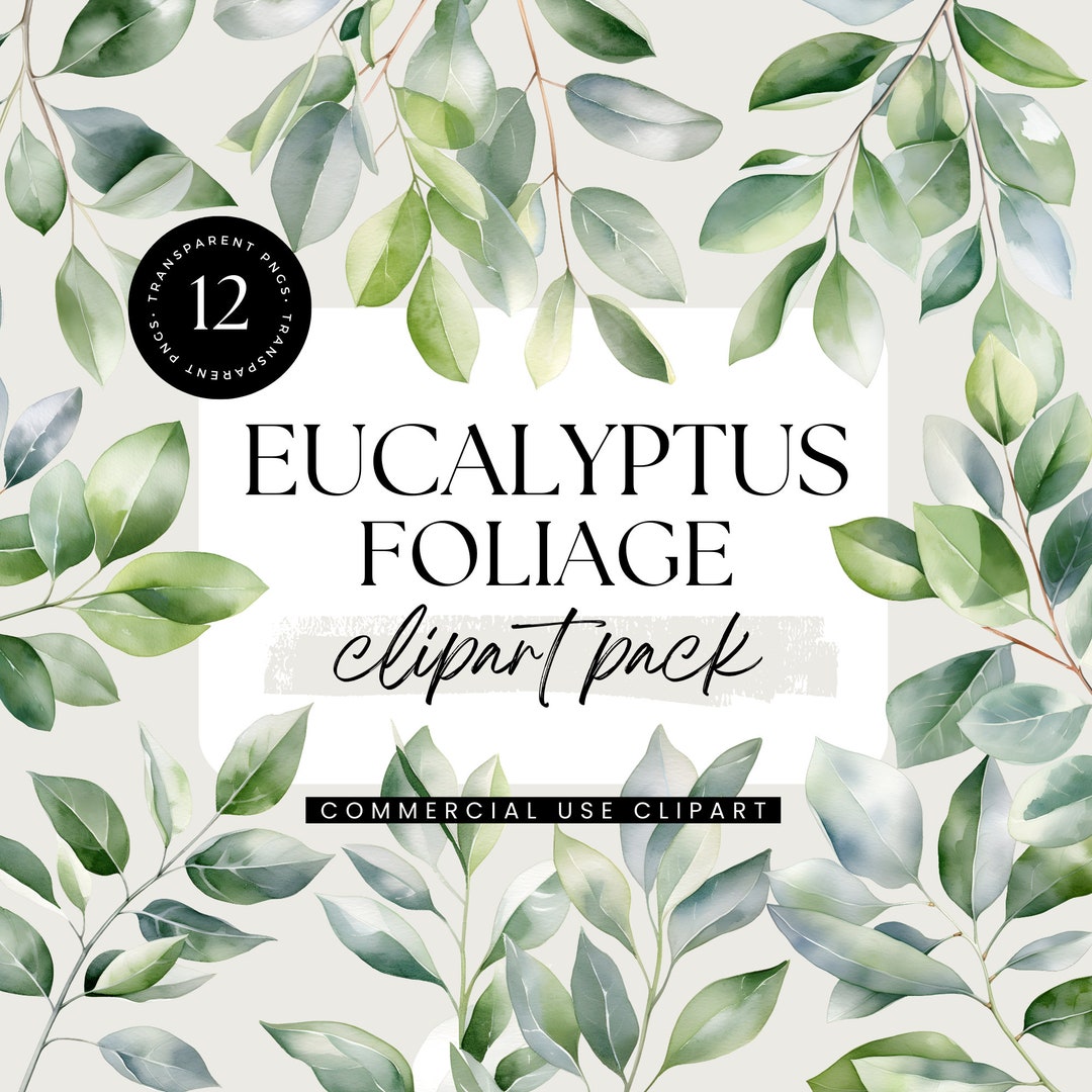 Eucalyptus Leaves Wreath Clipart, Botanical Watercolor Clipart Pack ...