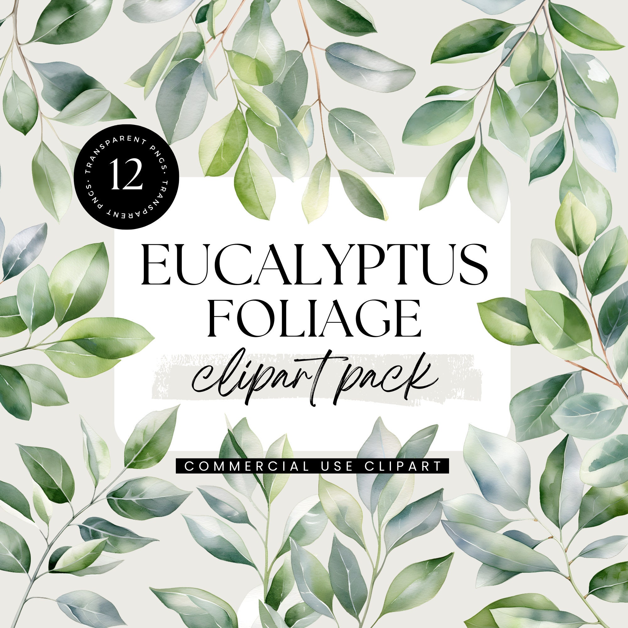 Eucalyptus Leaves Wreath Clipart, Botanical Watercolor Clipart Pack ...