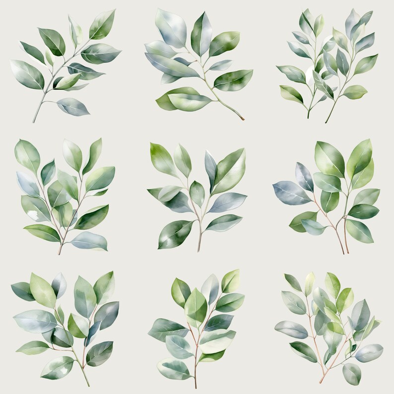 Eucalyptus Leaves Wreath Clipart, Botanical Watercolor Clipart Pack ...