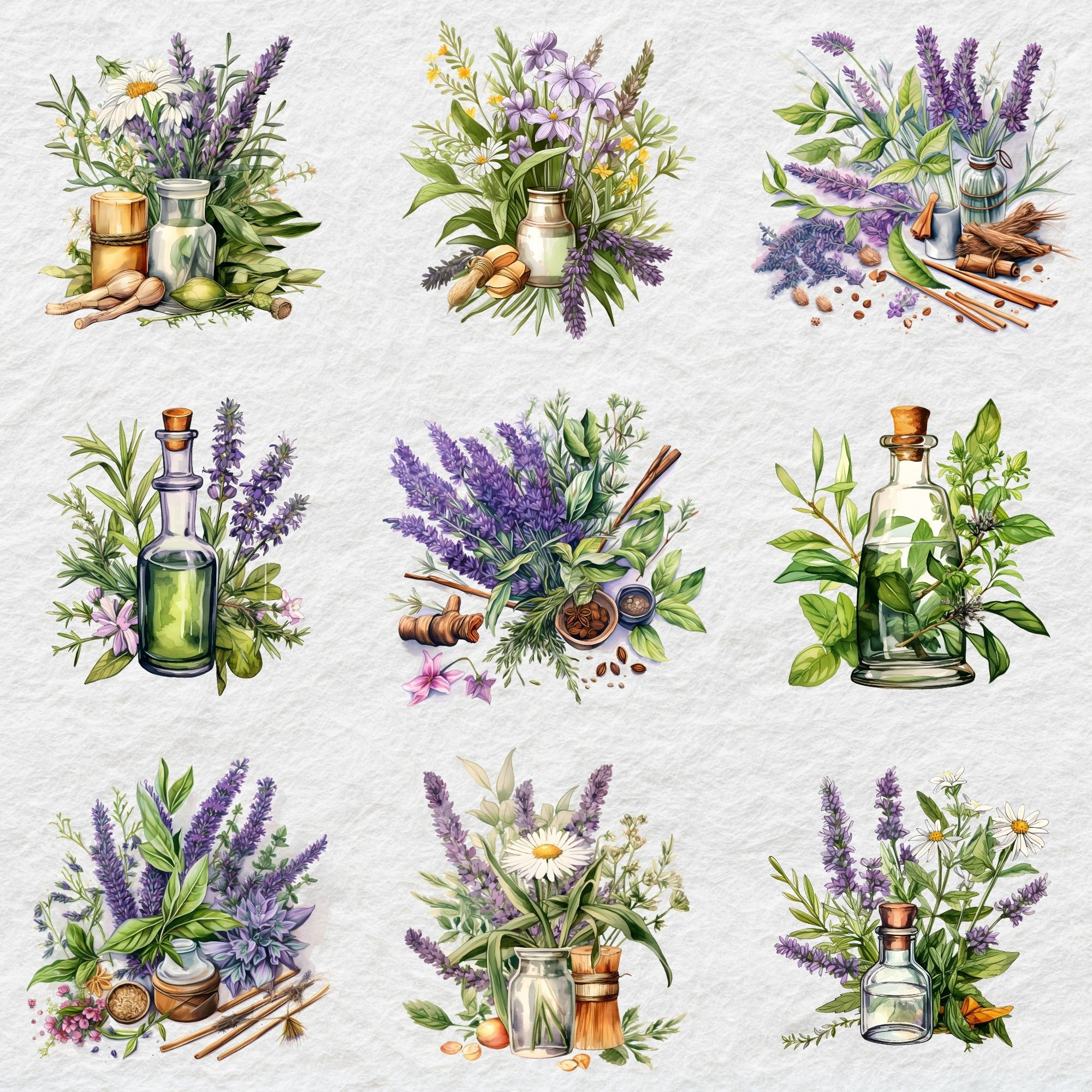 Watercolor Herb Medicine Clipart, Natural Healing Plants, Medicinal ...
