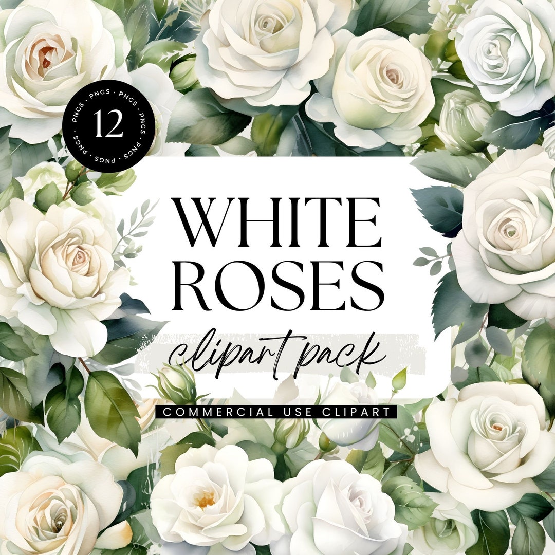 White Roses Clipart, Floral Watercolor Clipart Pack, Transparent Pngs ...
