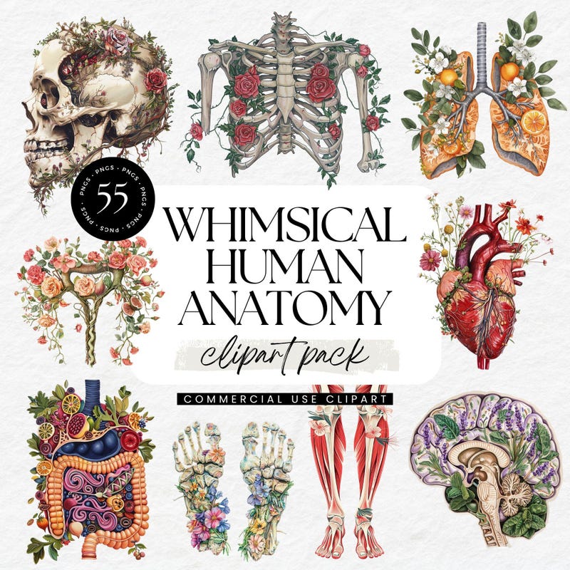 Flower Anatomy Sticker - Etsy UK