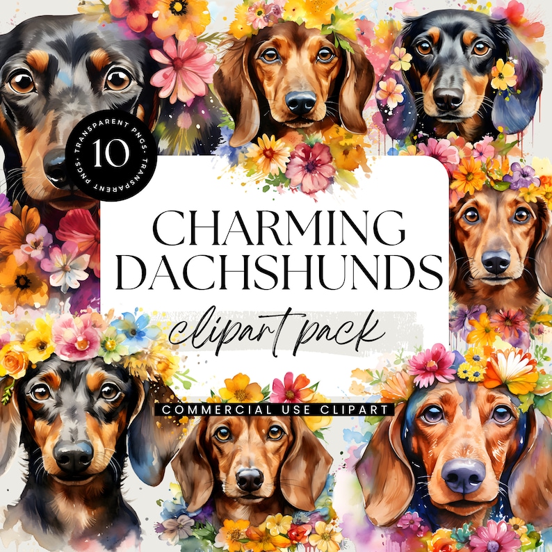 Dachshund Clipart Pack, Transparent Pngs, Commercial Use, Dog Wall Art ...