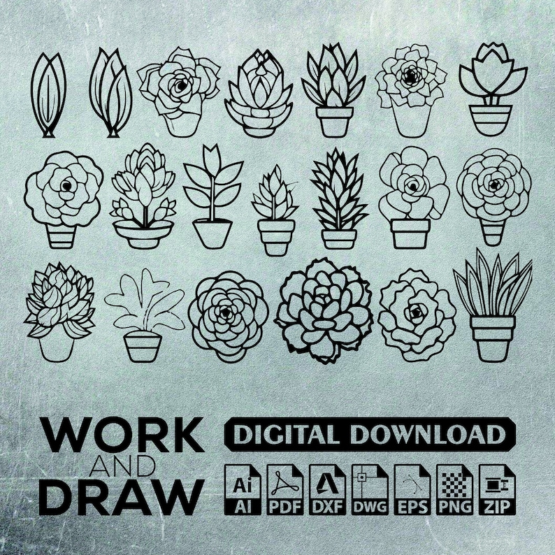 Cricut SUCCULENTS SVG Cut File Bundle - Etsy