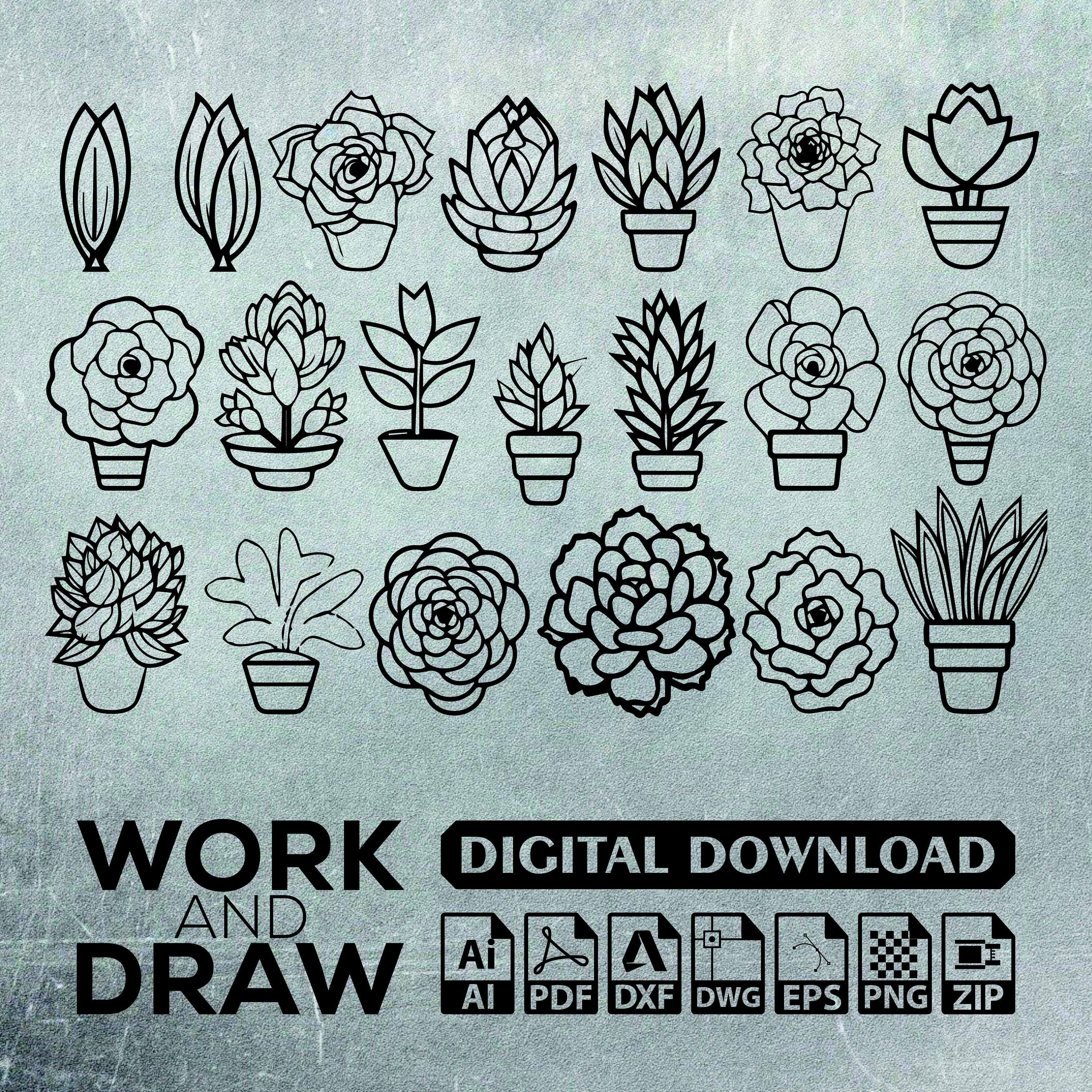Cricut SUCCULENTS SVG Cut File Bundle - Etsy