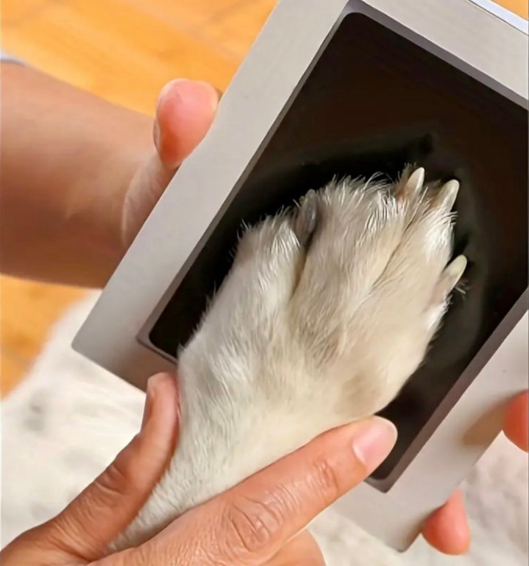 LARGE Pet Paw Print Ink Pad Kit - Safe & Non Toxic - Animal Memory ...