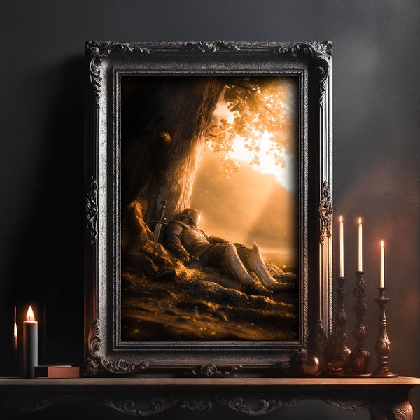 Soul Frame Video Game - Etsy UK