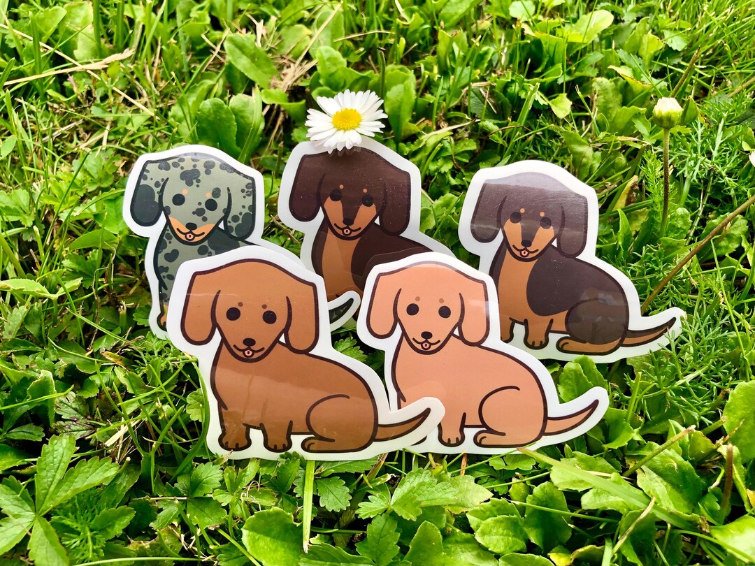 Dachshund Weiner Dog Vinyl Sticker | Water Resistant | Cute Cartoon Pet ...
