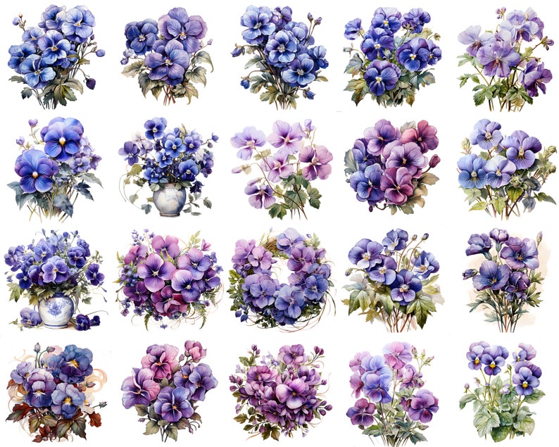 Violet Pansy Flower PNG Clipart Bundle February Birth Flower ...