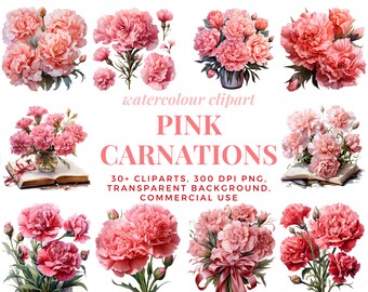 Carnation Watercolour Clip Art PNG, Carnation January Birth Month ...