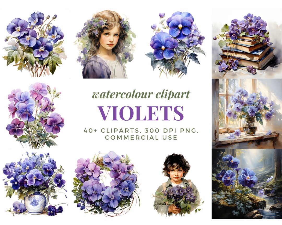 Violet Pansy Flower PNG Clipart Bundle February Birth Flower ...