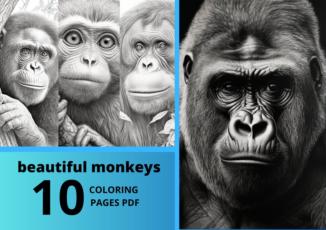 Printable Coloring Book for Adults, Monkeys, Beautiful and Realistic ...