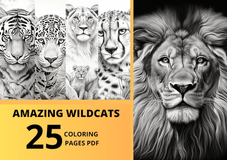 Coloring Book to Print, Big Cats, Lion, Tiger, Panther, Hyper Realistic ...