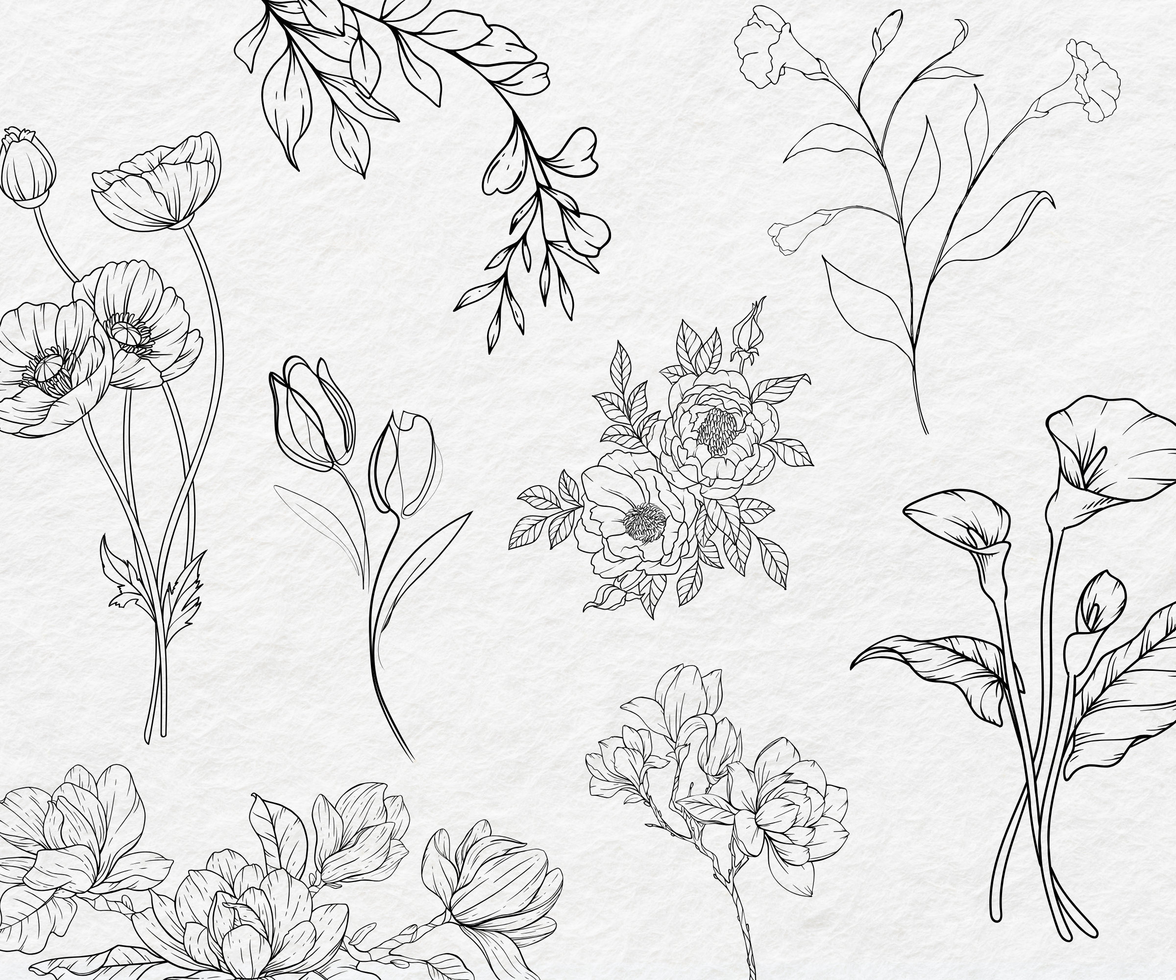 100 Botanical Procreate Stamps, Procreate Brushes, Flower Tattoo Stamps ...